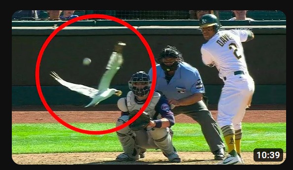 外媒報導＆T1教練TOM：Faker下週可能上場，季後賽確定回歸 | 英雄聯盟