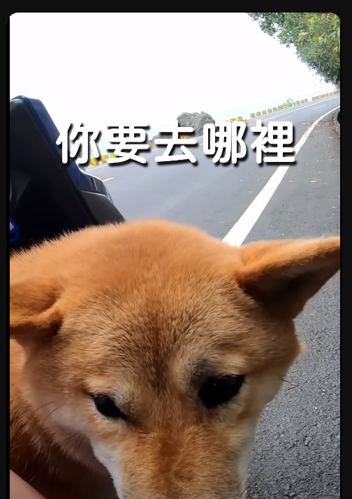 T1 Poby回歸T1二隊先發 | 英雄聯盟