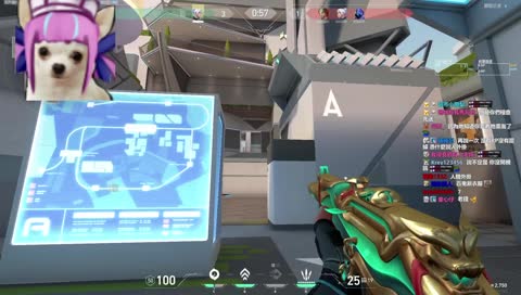 9Q 這準度有料欸