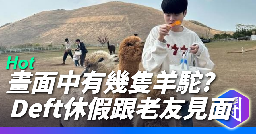 請問畫面中有幾隻羊駝? DEFT IG更新