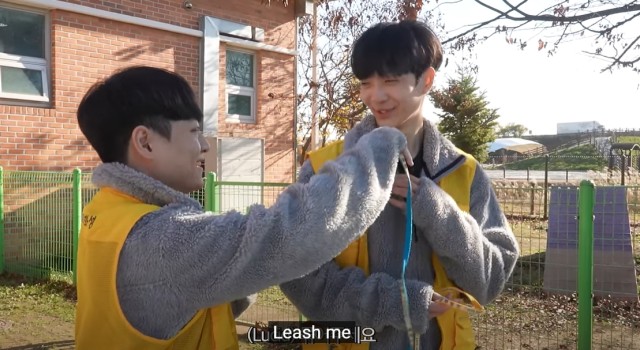 DK Lucid：好想養Showmaker啊！