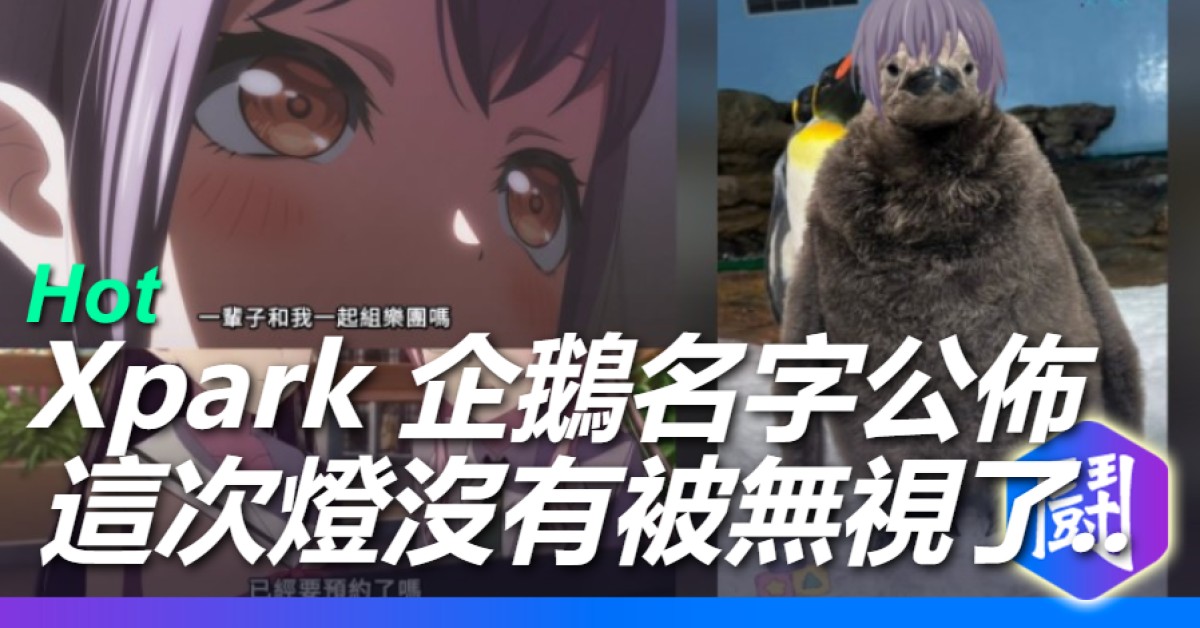 XPARK 國王企鵝寶寶誕生！Tomorin獲選