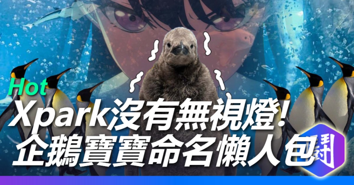 Xpark沒有無視燈！國王企鵝寶寶確定叫Tomorin MyGO豚入侵命名活動懶人包