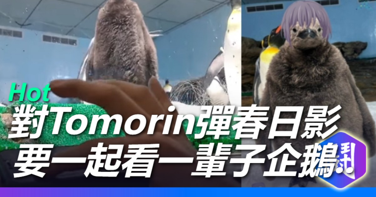 對Tomorin彈春日影